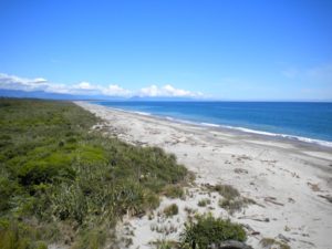 Awatuna Homestead Bed and Breakfast Hokitika